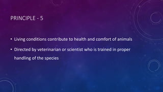CCSEA guidelines of experiment on animals.pptx
