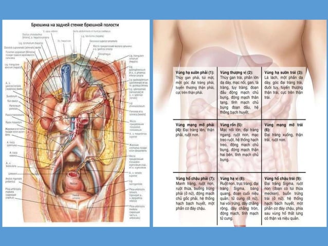 CẤP CỨU BỤNG NGOẠI KHOA.pptx