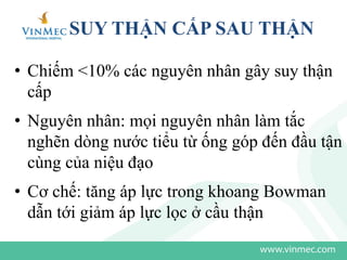 SUY THẬN CẤP TRONG NGOẠI KHOA | PDF