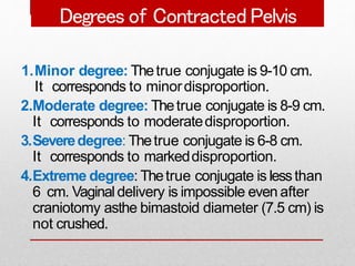 Cephalopelvic disproportion (CPD) & Contracted pelvis | PPTX
