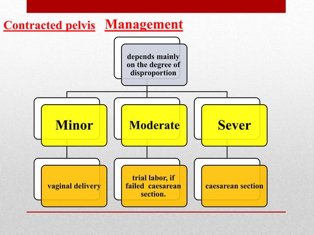 Cephalopelvic disproportion (CPD) & Contracted pelvis | PPTX ...