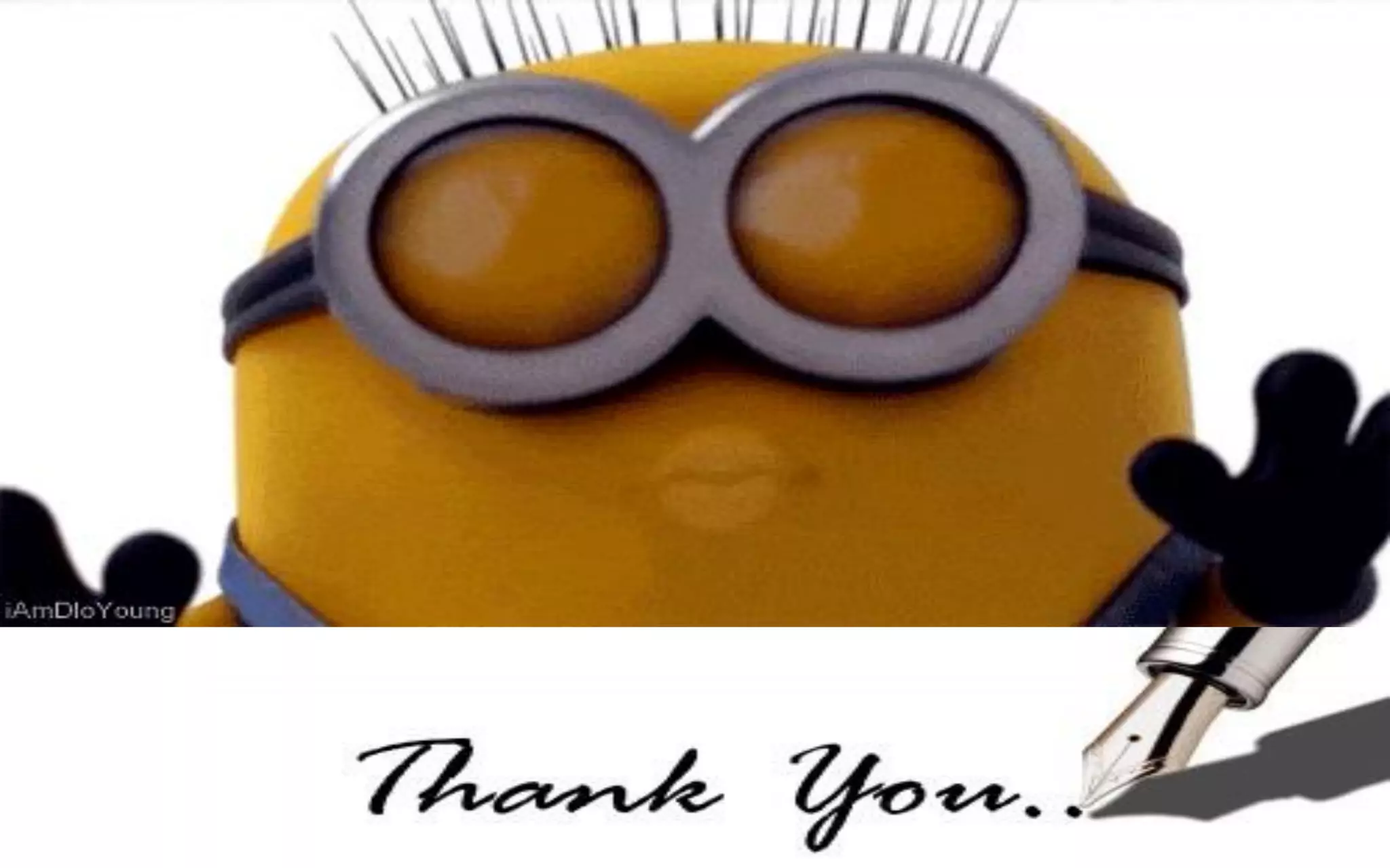 Continuing Professional Development | PDF