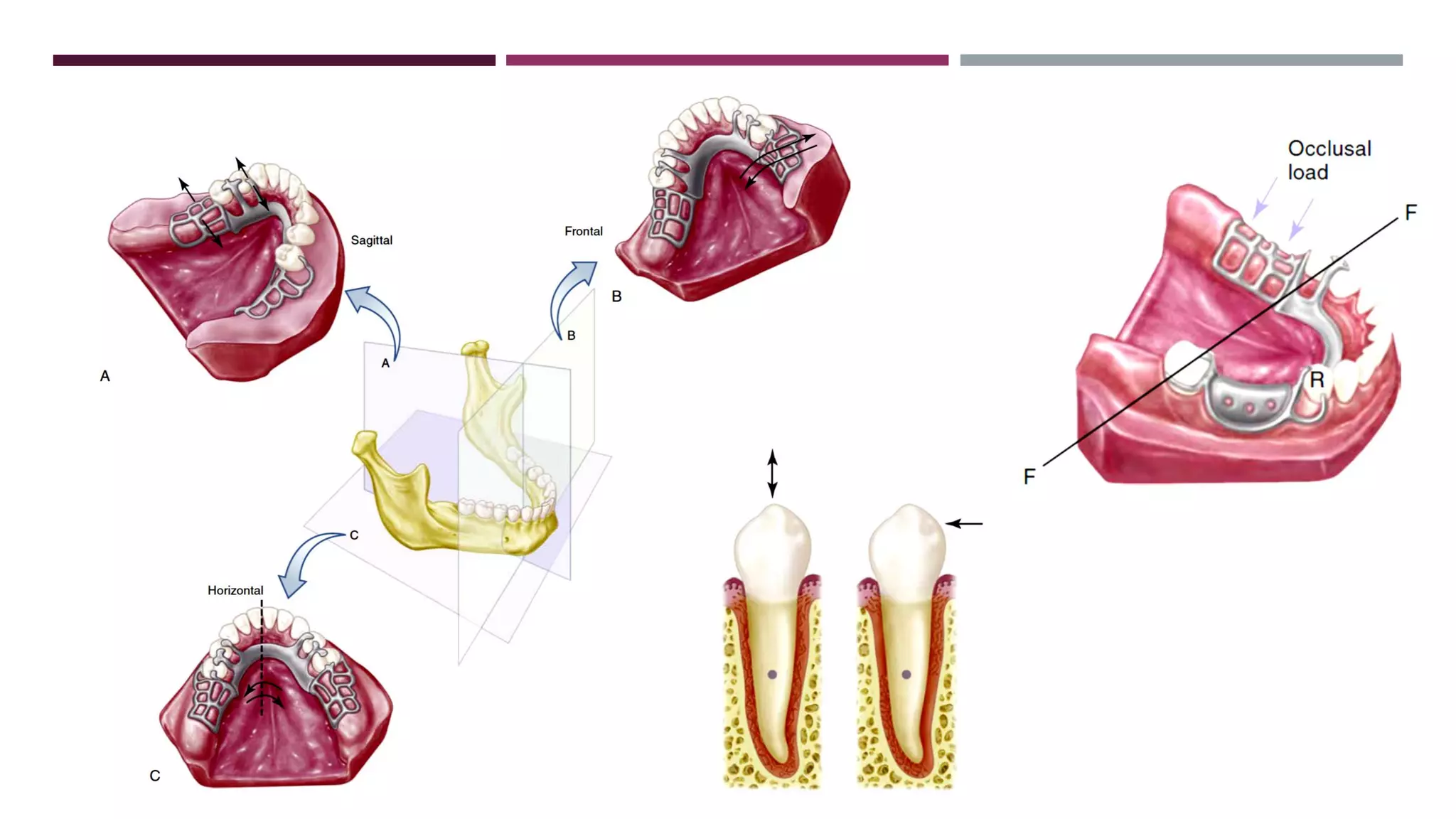 INTRODUCTION TO DIRECT RETAINERS IN CPD | PDF