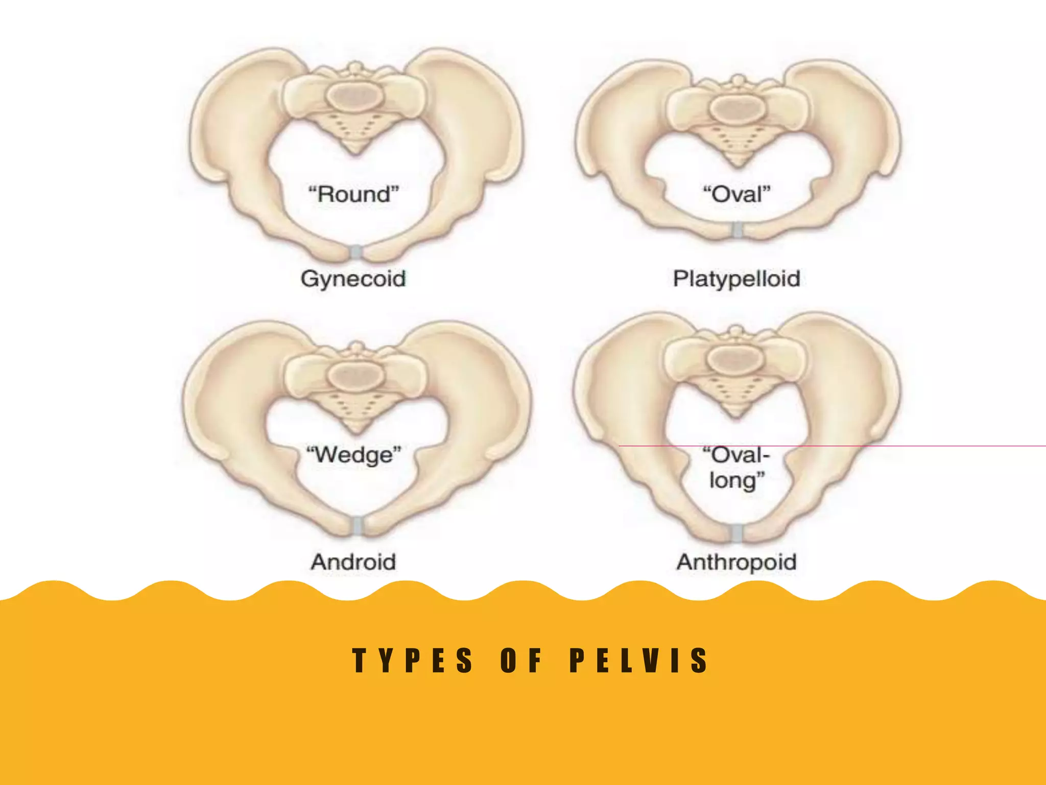 Cpd & contracted pelvis | PPTX