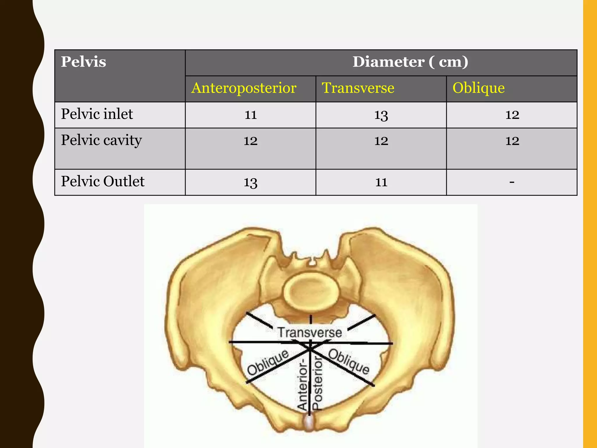 Cpd & contracted pelvis | PPTX