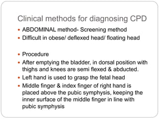 cpd & cp.pptx
