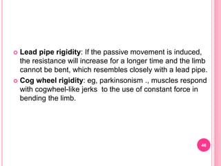 Lead Pipe Rigidity