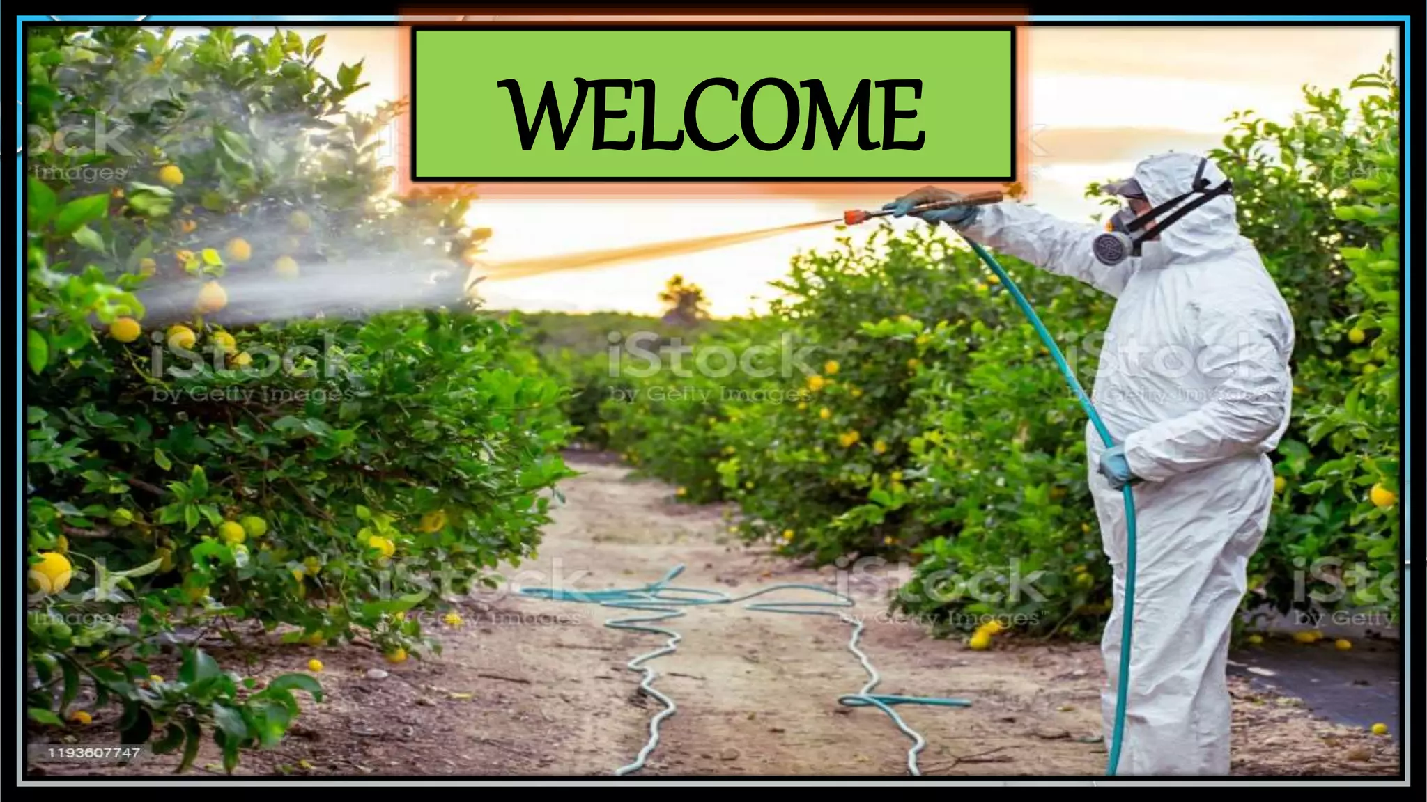 Safe handling, storage and application of pesticides | PPTX