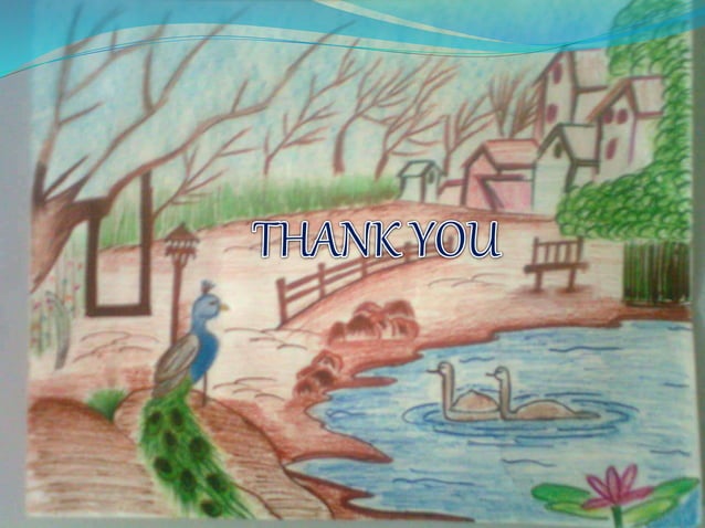 The real contributor........... | PPTX