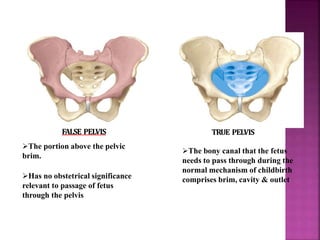 cpd presentation.pptx