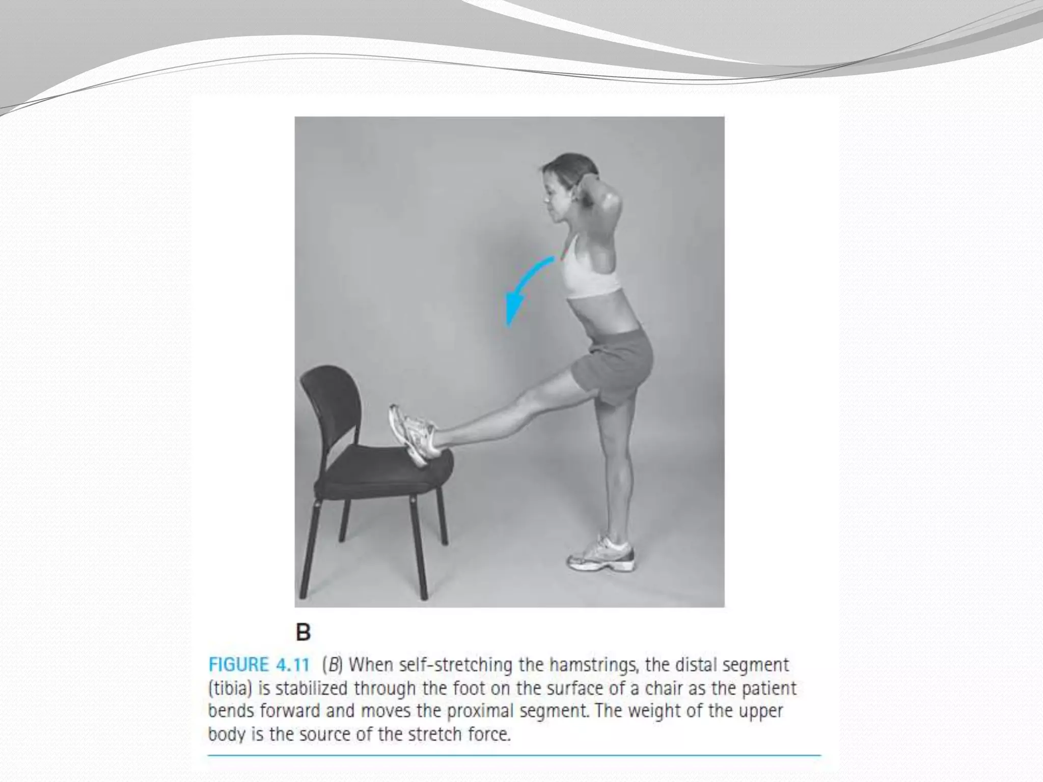 Types of stretching technique | PPTX