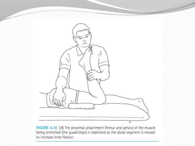 Types of stretching technique | PPTX | Physical Therapy | Wellness