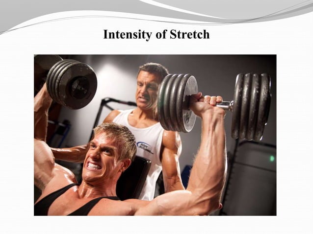 Types of stretching technique | PPTX | Physical Therapy | Wellness