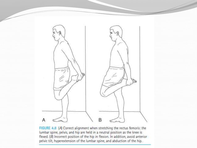 Types of stretching technique | PPTX | Physical Therapy | Wellness