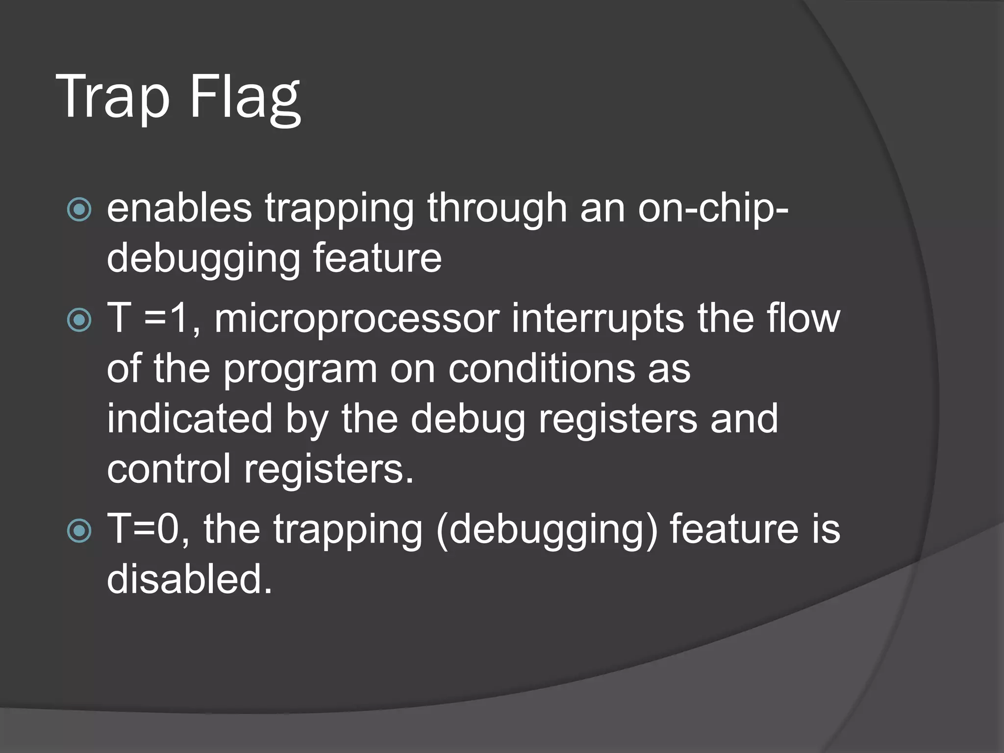 Cpe103 03 [processor flags] | PPT