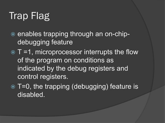 Cpe103 03 [processor flags] | PPT