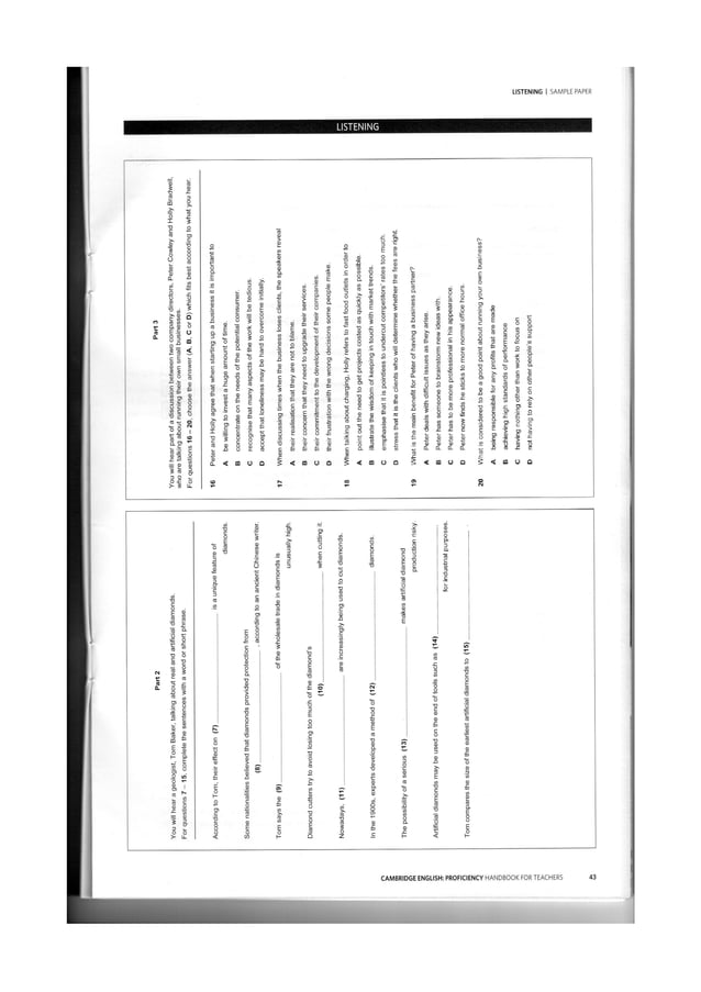 CPE revised 2013 sample | DOC