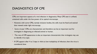 Cytopathic effects and its main types by hp | PPTX