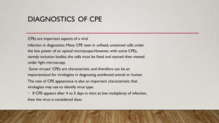 Cytopathic effects and its main types by hp | PPTX