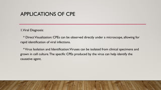 Cytopathic effects and its main types by hp | PPTX