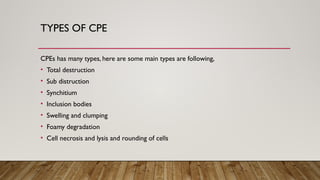 Cytopathic effects and its main types by hp | PPTX