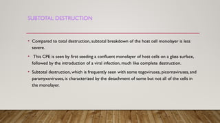 Cytopathic effects and its main types by hp | PPTX