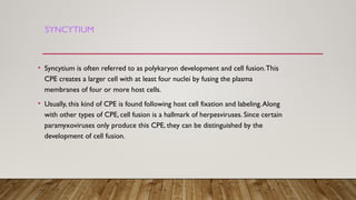 Cytopathic effects and its main types by hp | PPTX