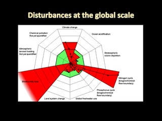 Social-ecological resilience | PPTX