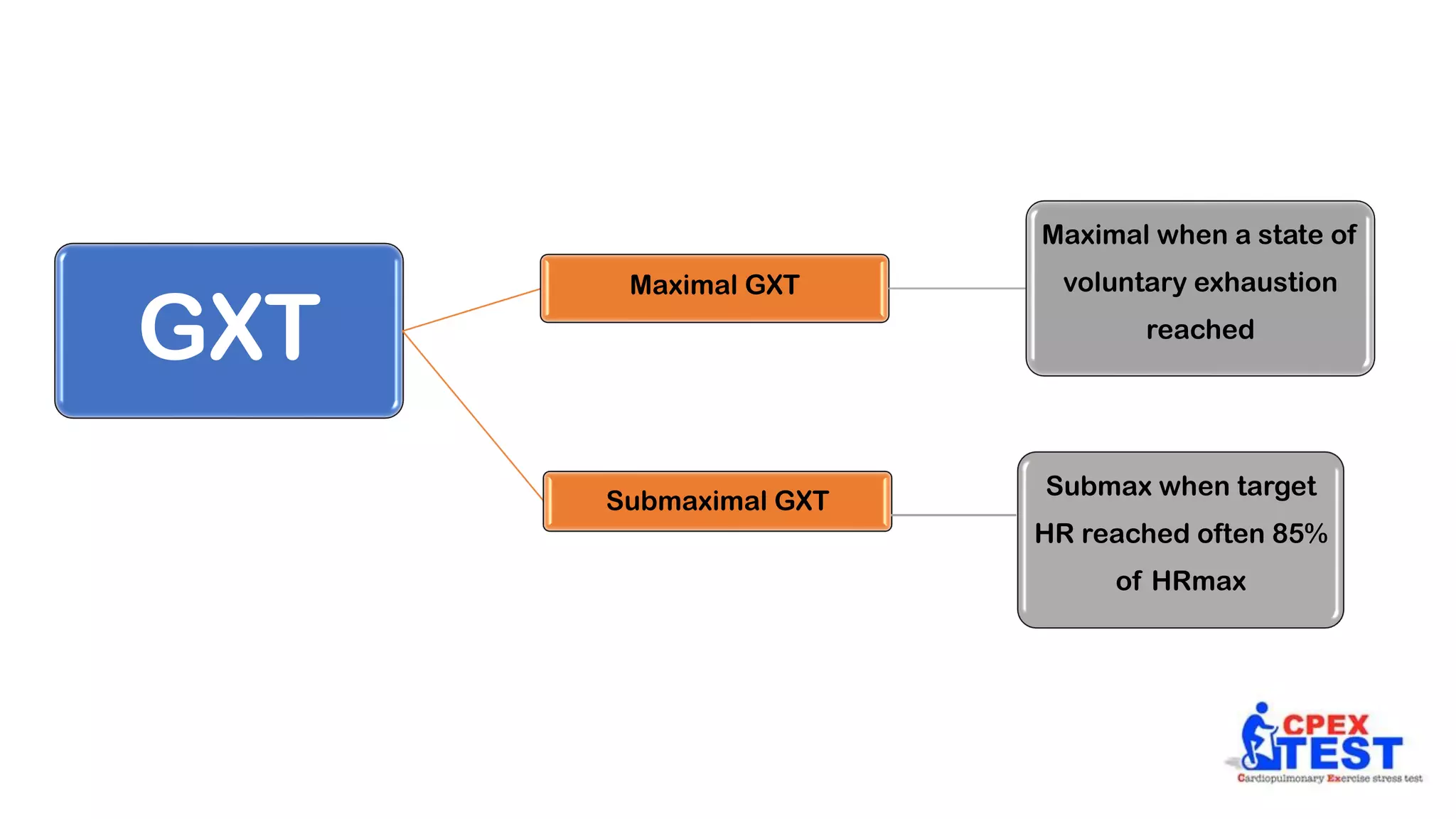 Cpet protocols | PDF | Heart and Cardiovascular Diseases | Diseases and ...