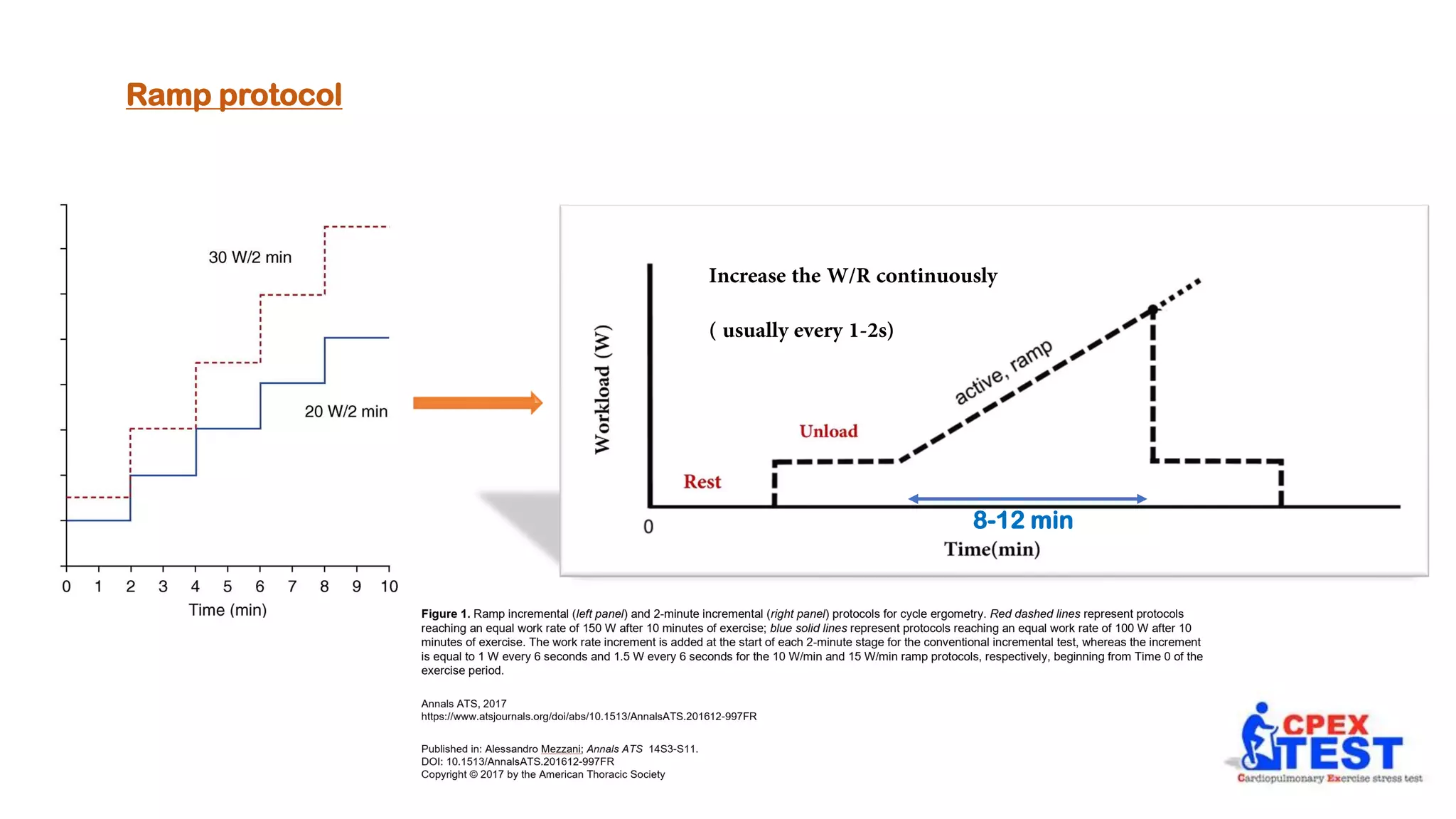 Cpet protocols | PDF | Heart and Cardiovascular Diseases | Diseases and ...