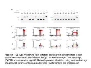 Cpf1- a new tool for CRISPR genome editing | PPTX