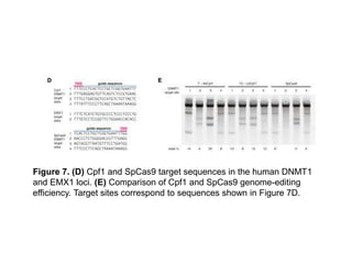 Cpf1- a new tool for CRISPR genome editing | PPTX