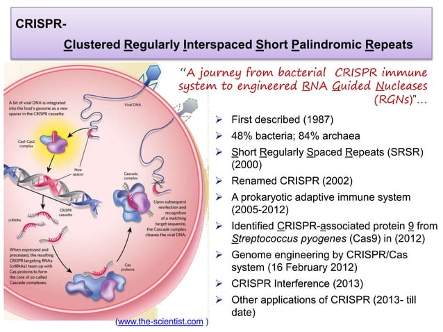 Cpf1- a new tool for CRISPR genome editing | PPT