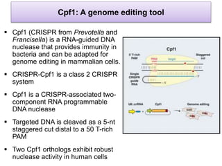 Cpf1- a new tool for CRISPR genome editing | PPT