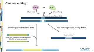 Cpf1-based genome editing using ribonucleoprotein complexes | PPTX