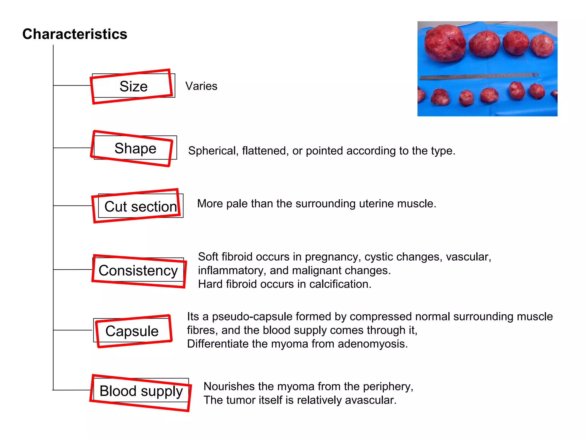 Cp fibroid discussion | PPT | Pregnancy | Reproductive Health
