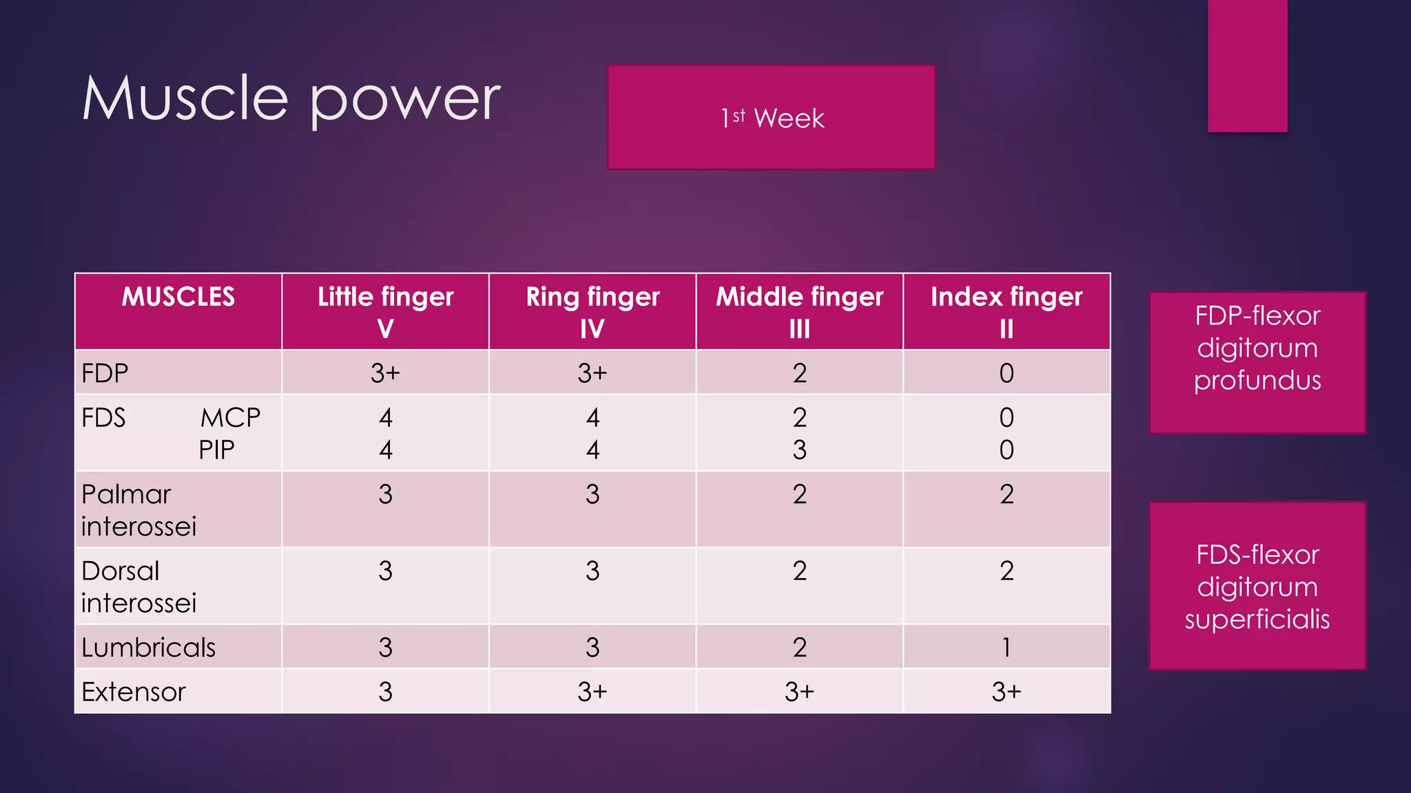 Case Presentation on Fracture & its Healing Process | PDF