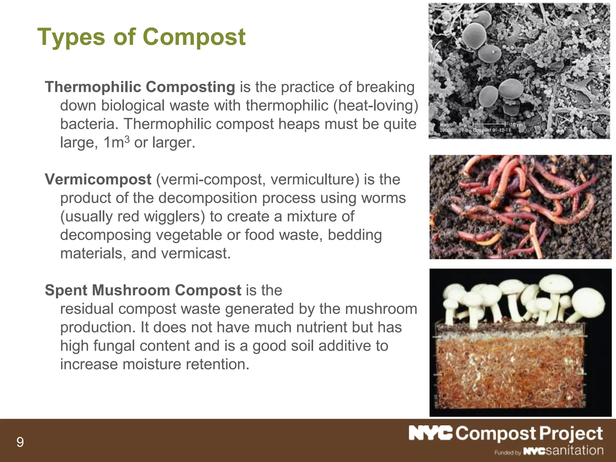 Fungal Decomposition: Growing Gourmet Mushrooms from Kitchen Scraps | PPT