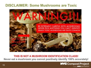 Fungal Decomposition: Growing Gourmet Mushrooms from Kitchen Scraps | PPT
