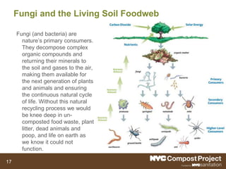 Fungal Decomposition: Growing Gourmet Mushrooms from Kitchen Scraps | PPT