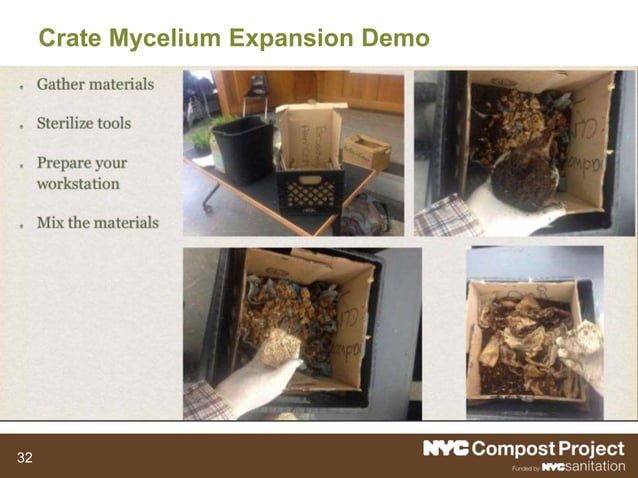 Fungal Decomposition: Growing Gourmet Mushrooms from Kitchen Scraps | PPT