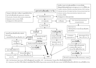 Cpg for diarrhea | PDF
