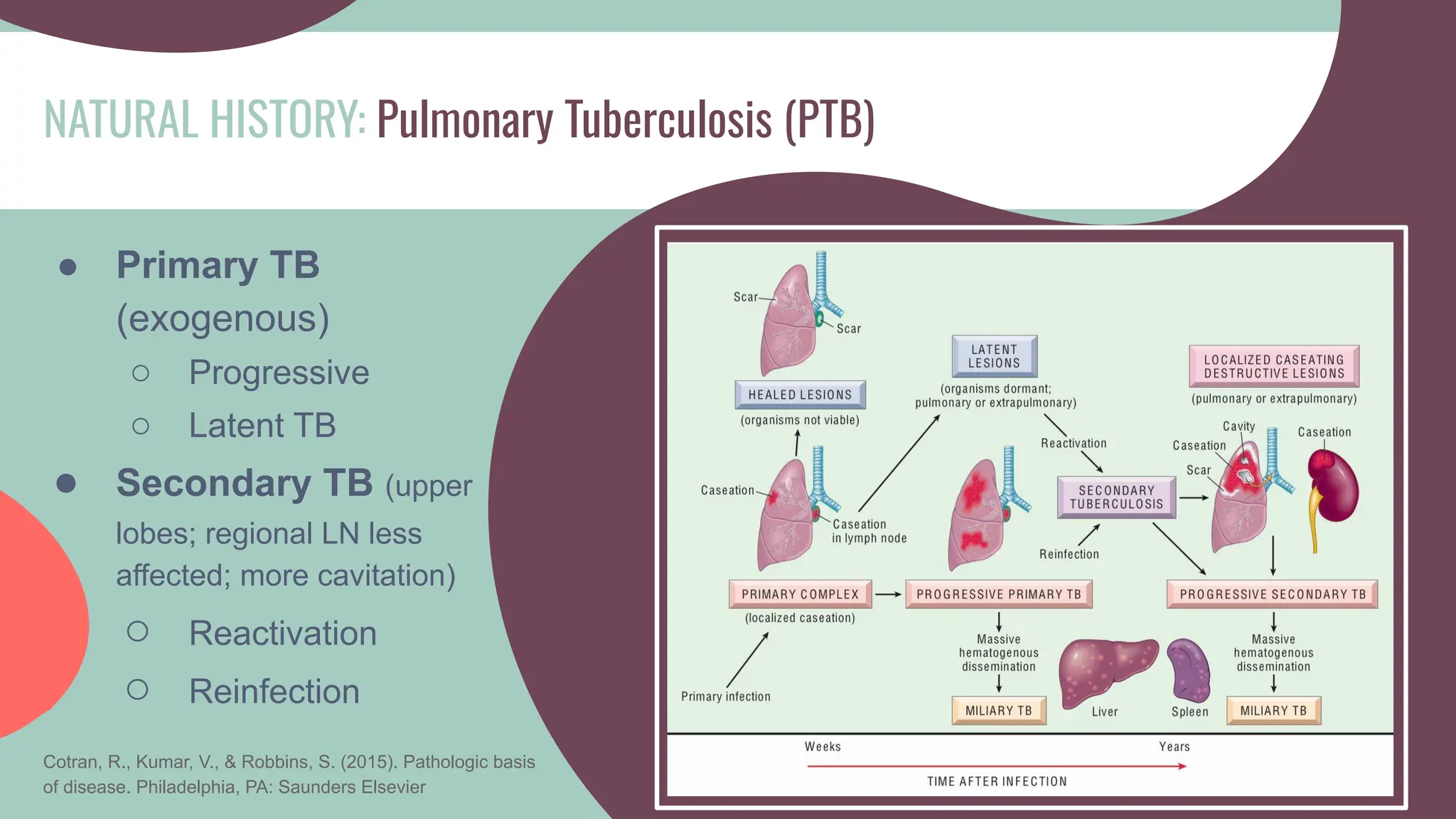 clinical practice guidelines PTB lecture | PDF
