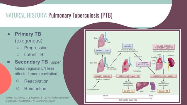 clinical practice guidelines PTB lecture | PDF | Lung and Respiratory ...