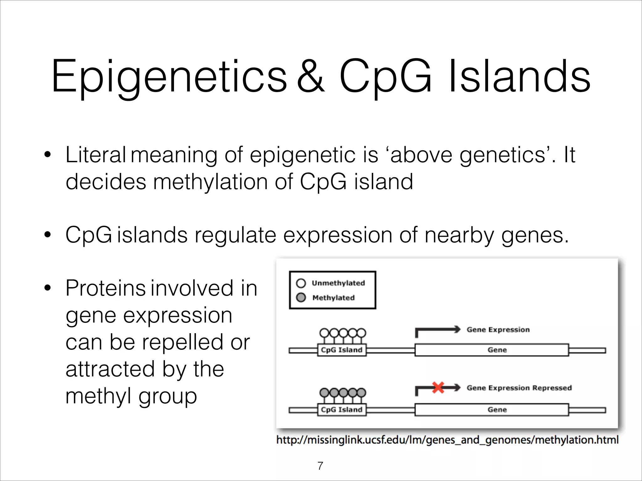 CpG Island Identification with Hidden Markov Models | PDF