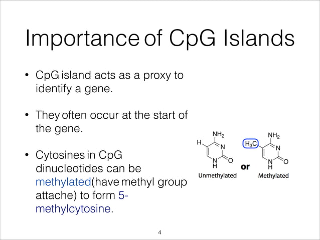 CpG Island Identification with Hidden Markov Models | PDF
