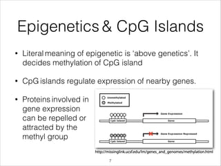 CpG Island Identification with Hidden Markov Models | PDF