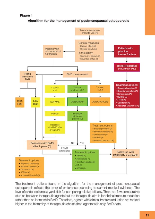 CPG management of osteoporosis | PDF