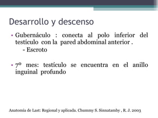 CPHAP 031 Trastornos Testiculares Agudos | PPT