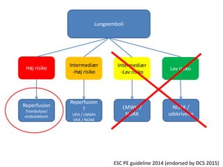 Kunne det være en lungeemboli? | PDF